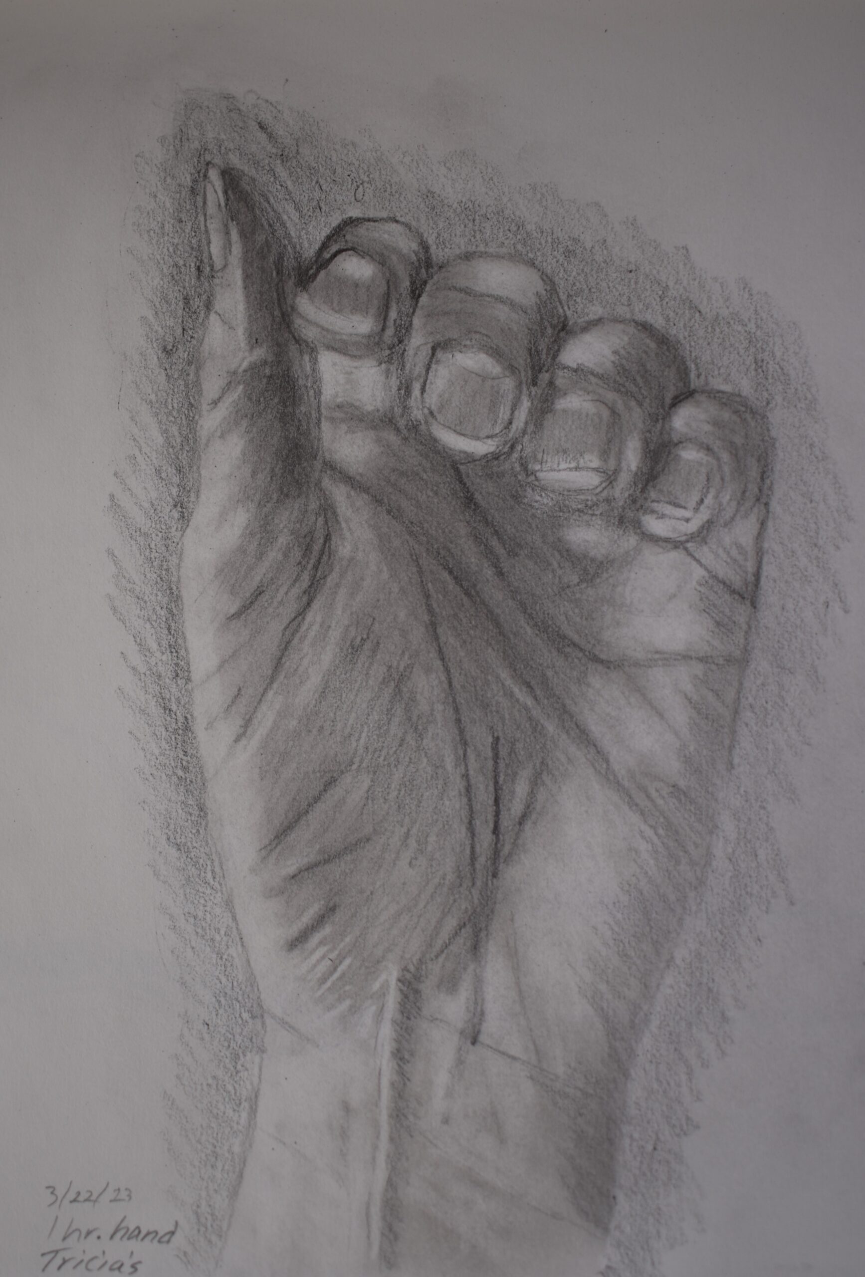 Blog - Tricia Alexander Art
